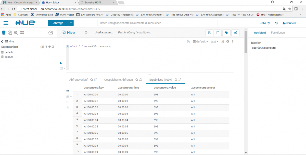 SAP BW Apache Hadoop-Big Data-System - CubeServ